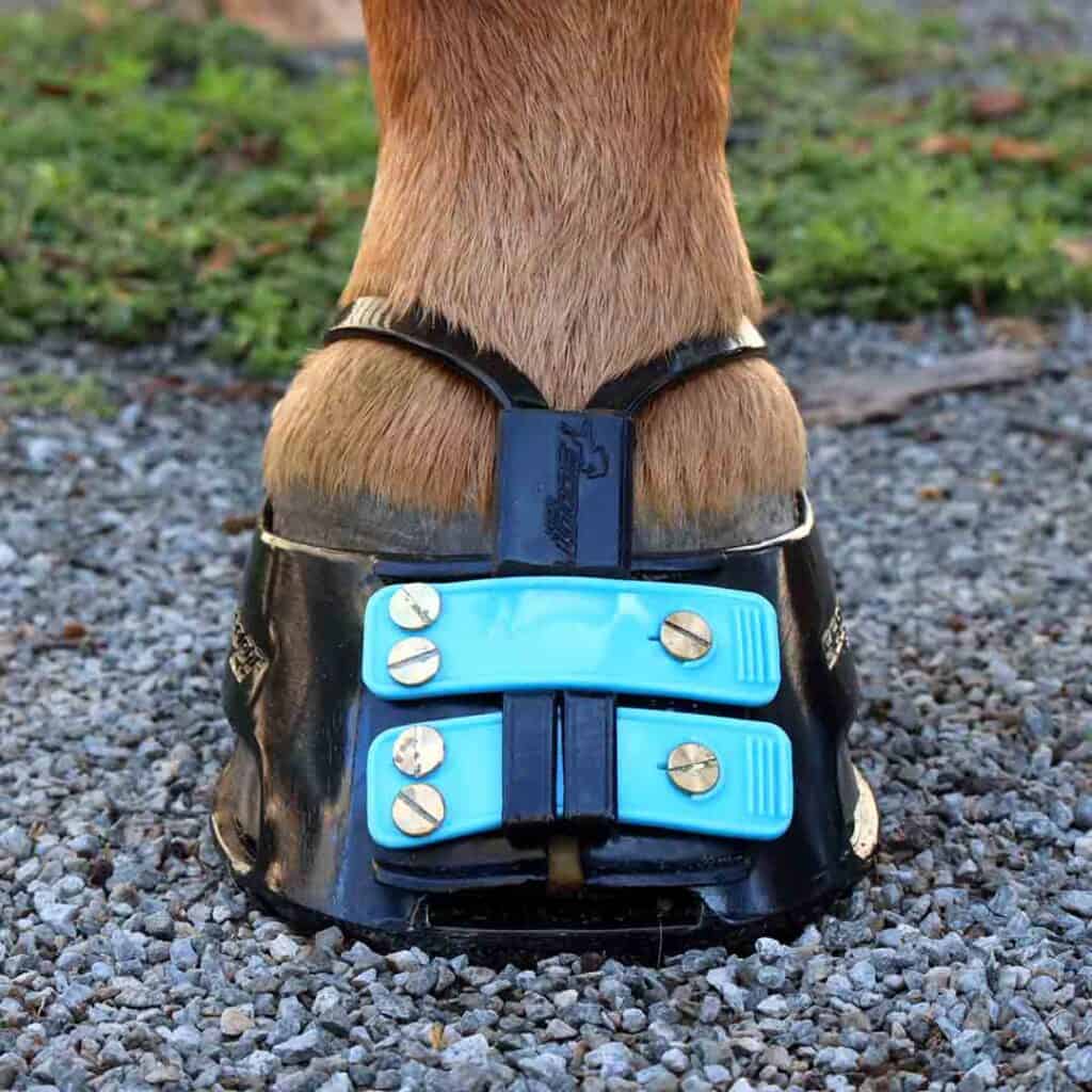 Mud Strap – Equestrian Next Door